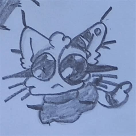 The Drew One Kitty 1 Rdoctornowhere