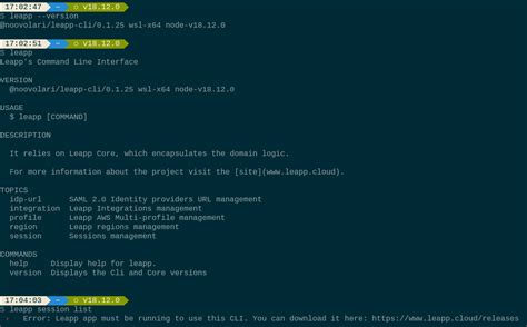 wsl and cli issue · issue 356 · noovolari leapp · github