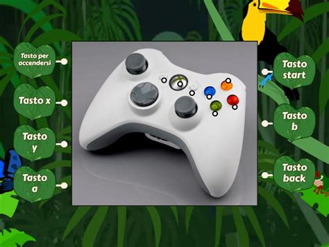 Xbox Controller Labelled Diagram