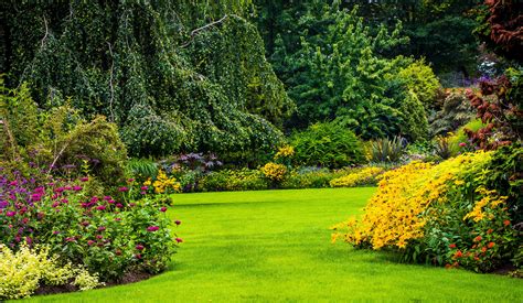 Canada Gardens Vancouver Shrubs Trees Lawn Queen Elizabeth Garden Nature Wallpapers Hd