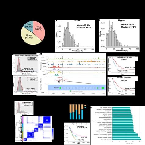 Identifications Of Differentially Methylated Lncrna Coding Genes In