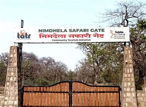 Safari Entry Gates At Tadoba Andhari Tiger Reserve 98 Stripes 2025 Guide