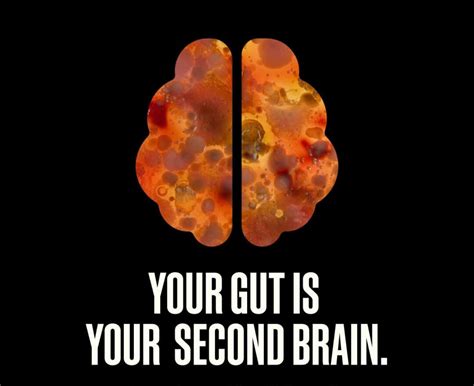 Physical Your Gut Is Your Second Brain How Your Digestive System Affects Your Mind And Body