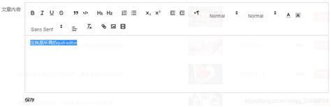 Vue在element Ui下使用富文本框插件quill Editor（我个人不推荐用这个复杂的富文本插件） 阿里云开发者社区