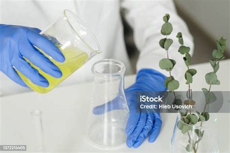 여성 실험실 노동자는 플라스크에 노란색 액체를 부어 과학 미용 실험 Stem 주제에 대한 스톡 사진 및 기타 이미지 Stem