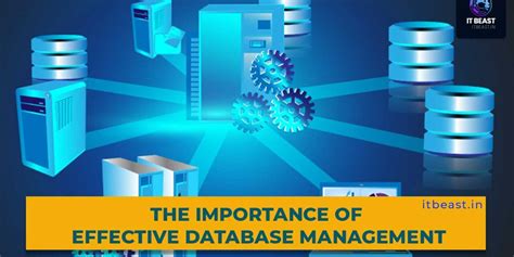 The Importance Of Effective Database Management IT Beast Information Technology News Views