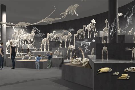 Tinker Completes Work At Natural History Museum Of Denmark Tinker Imagineers