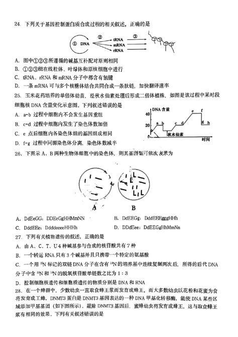 黑龙江省哈尔滨市第九中学校2022 2023学年高一下学期期末考试生物学试题（pdf版含答案） 21世纪教育网