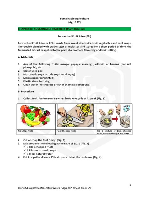 15 Fermented Fruit Juice Pdf Fruit Sugar