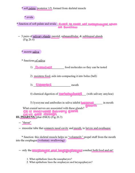 Oral Cavity Cont Annotated Lecture Notes Soft Palate Posterior 1
