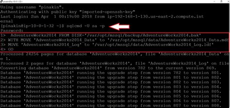 Migrate Sql Server Database From Windows To Sql Server On Linux In