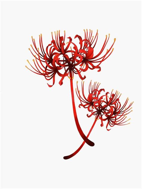 Red Spider Lily Tokyo Ghoul Wallpaper