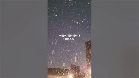 이것이 감정낭비다 법륜스님법륜스님 근심 걱정 이해 내마음이 좋다 좋은마음 인생명언 명언 인생조언 인생 Youtube