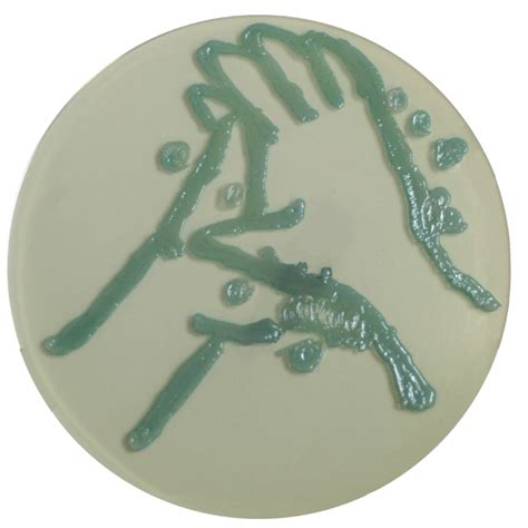 Mrsa Home Department Of Microbiology