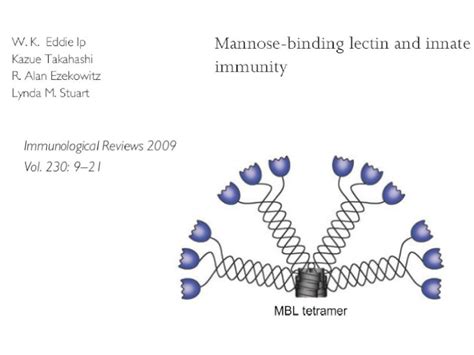 Ppt Innate Immunity Epithelial Barrierssoluble Molecules Macrophages