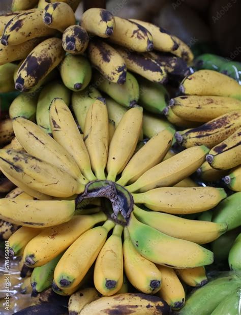Dominican Tiny Bananas Different Degrees Of Maturation At Mexican