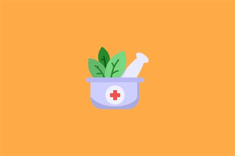 Ervas Medicinais Que Você Pode Cultivar Em Casa