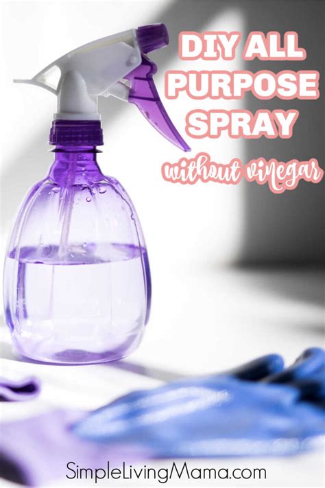 How To Clean A Mop The Ultimate Guide Simple Living Mama
