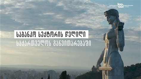 საბანკო სექტორის წვლილი საქართველოს განვითარებაში Youtube