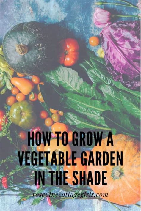 35 Shade Tolerant Vegetables For Your Garden