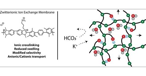 Zwitterionic Ionenes Toward Processable Low Water Containing Anion