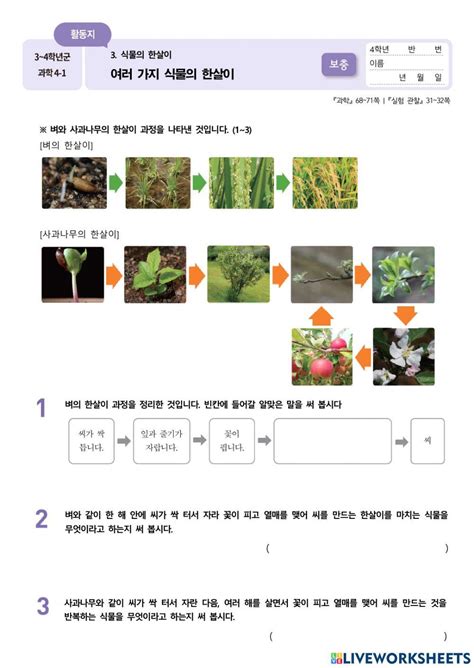 과학3 식물의 한살이 개념정리 학습지 Online Exercise For Live Worksheets