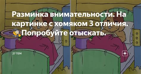 Разминка внимательности На картинке с хомяком 3 отличия 🕵️‍♂️