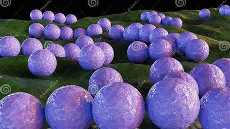 3d Rendering Of Streptococcus Bacterium Stock Illustration