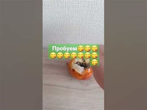 гранадила - YouTube
