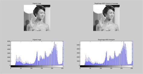 GitHub Mahmoud Adly Image Steganography Graduation Project This An Application To Hidden