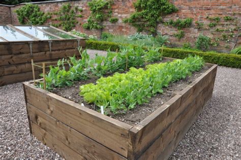 10 Best Soils For Raised Garden Beds In 2025 Reviews And Top Picks