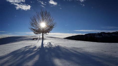 Wetter in Heilbronn Endlich Schnee im Ländle Das sagt der Wetterbericht Heilbronn