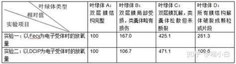 【vr生物高考复习新视界】光合作用电子传递链专题（二） 知乎