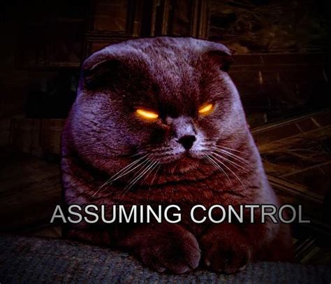 Assuming Control Know Your Meme