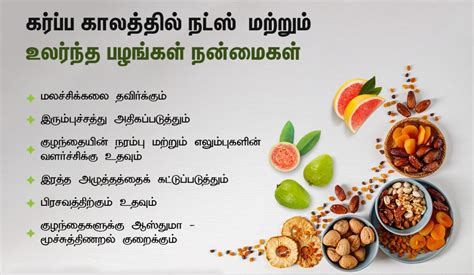கர்ப்பிணிகள் சாப்பிட வேண்டிய நட்ஸ் மற்றும் உலர் பழங்கள் Nuts And Dry