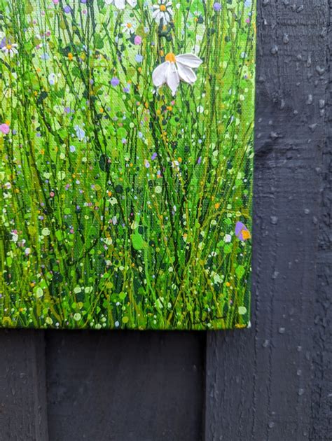 Wild Daises 2