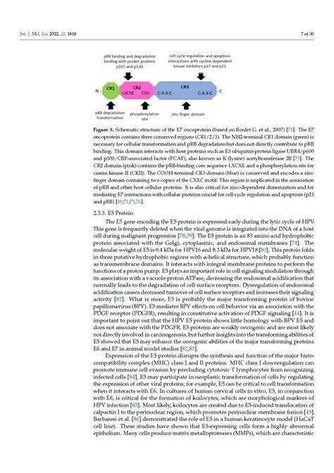 Hpv