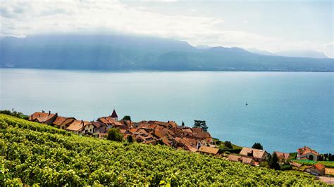 스위스에서 Lavaux 포도 원 테라스 하이킹 코스에 스위스 마 0명에 대한 스톡 사진 및 기타 이미지 0명 Unesco