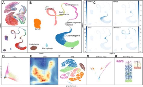 Examples Of Dimensionality Reduction Methods And Differentiation