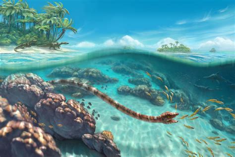 Gracilicollum Fossil Wiki Fandom
