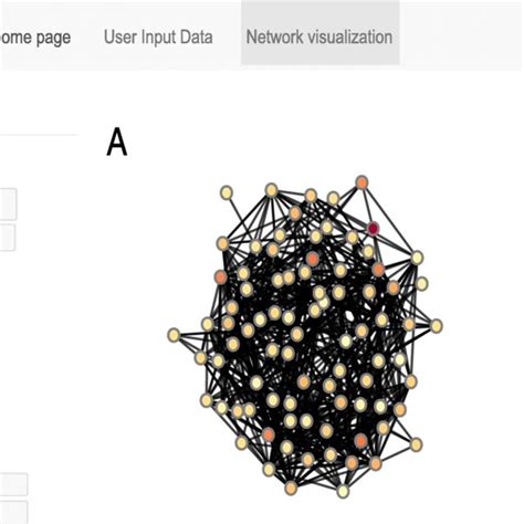 Dynovis Network Visualization Frame In The Centre The Network Is