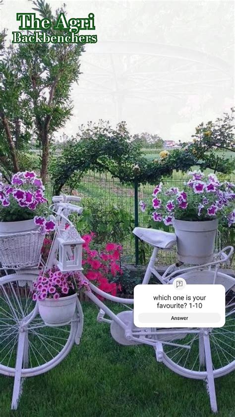 Top 10 Tips To Decorate Our Gardenhousehome Teri Baaton Main Aisa