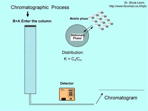 Chromatography Process