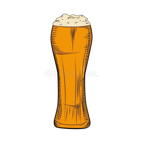 Pilsner Beer Bottle Engraving Style Hand Drawn Illustration Isolated