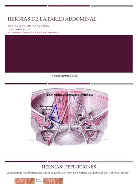 Hernias De La Pared Abdominal Pdf Abdomen Anatomía