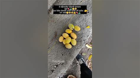 कोकणी माणसाचं सुख💘🏝 कोकण Viral दापोली Youtube