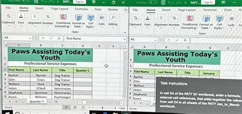Solved Task Instructions In Cell D Of The Paty Q Chegg