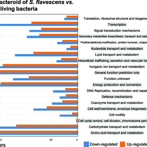 Distributions And Numbers Of Differentially Expressed Genes DEGs In