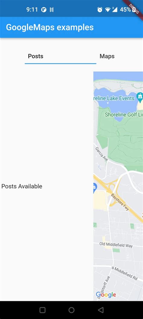 Unexpected Crash In Google Maps Flutter Package Flutter 3 7 3 Stack