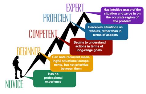 Patricia Benner Novice To Expert Nursing Theory